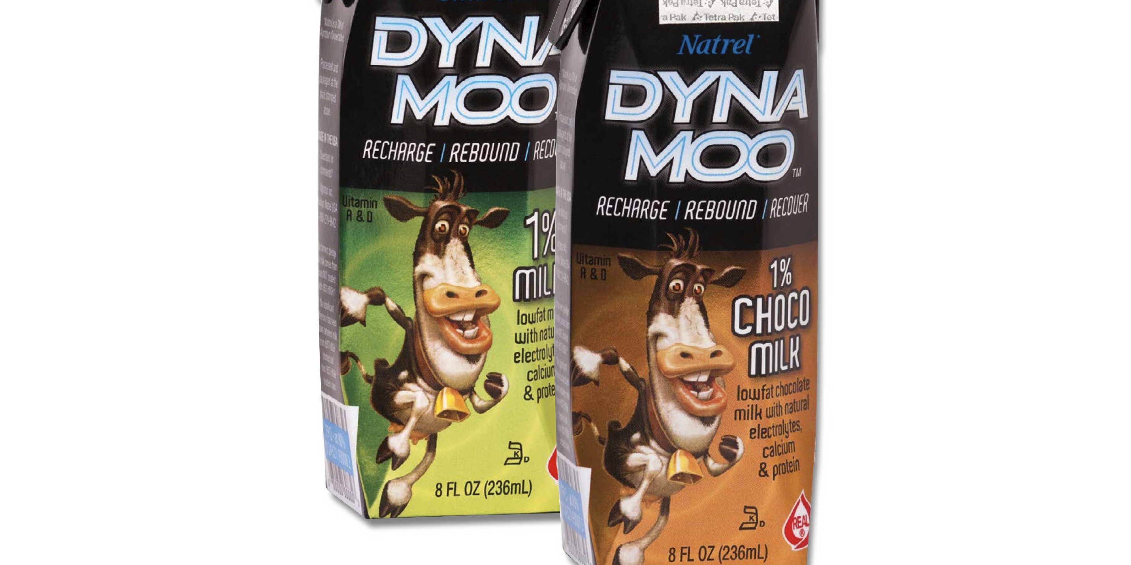 DynaMoo Packaging – Branding & Design – M. R. DANIELSON ADVERTISING